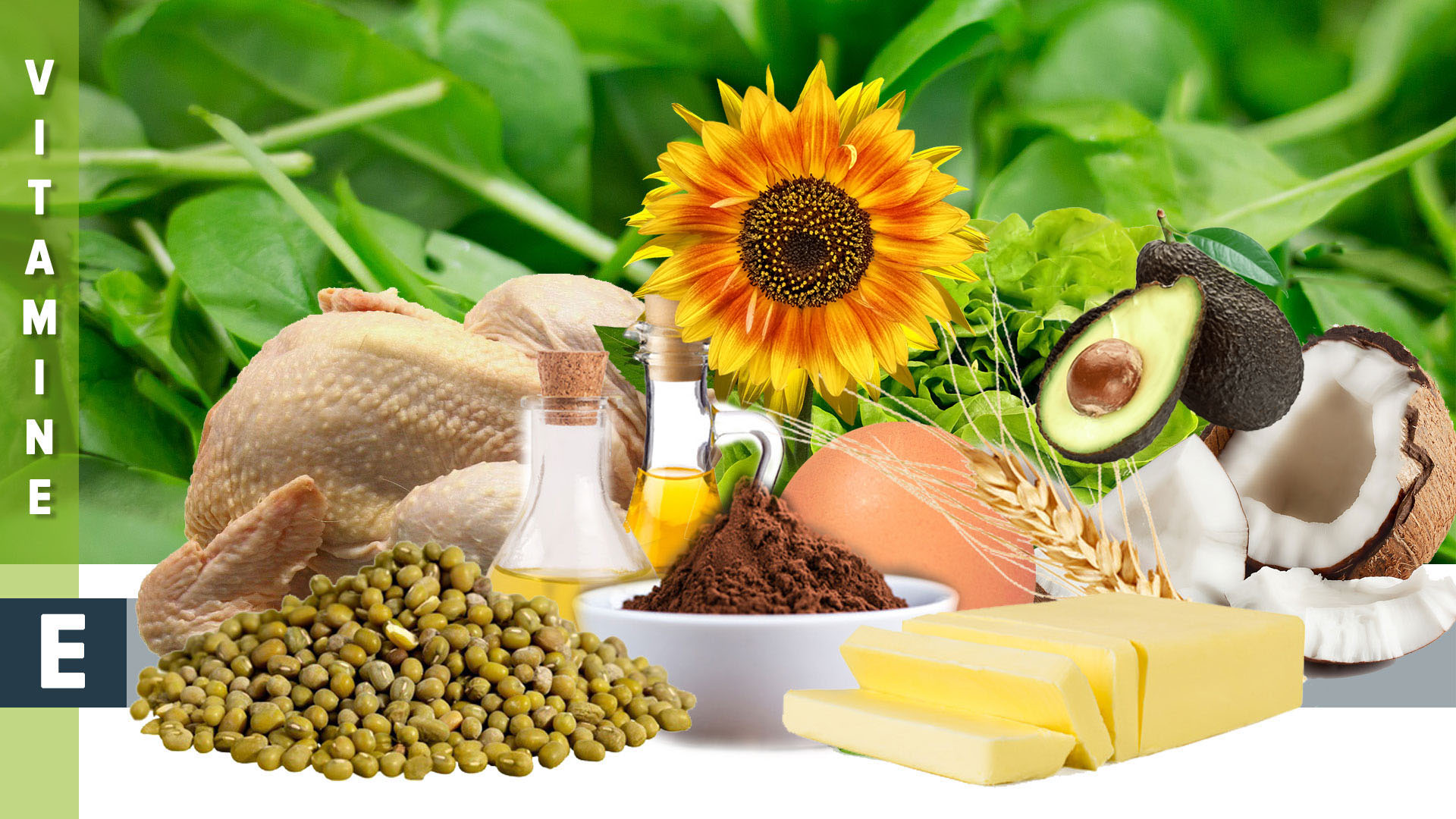 Nos indispensables vitamines, essentielles à l'organisme